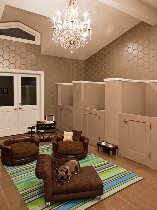 PETS AT HOME DESIGNING DOG ROOMS Pawsh Magazine