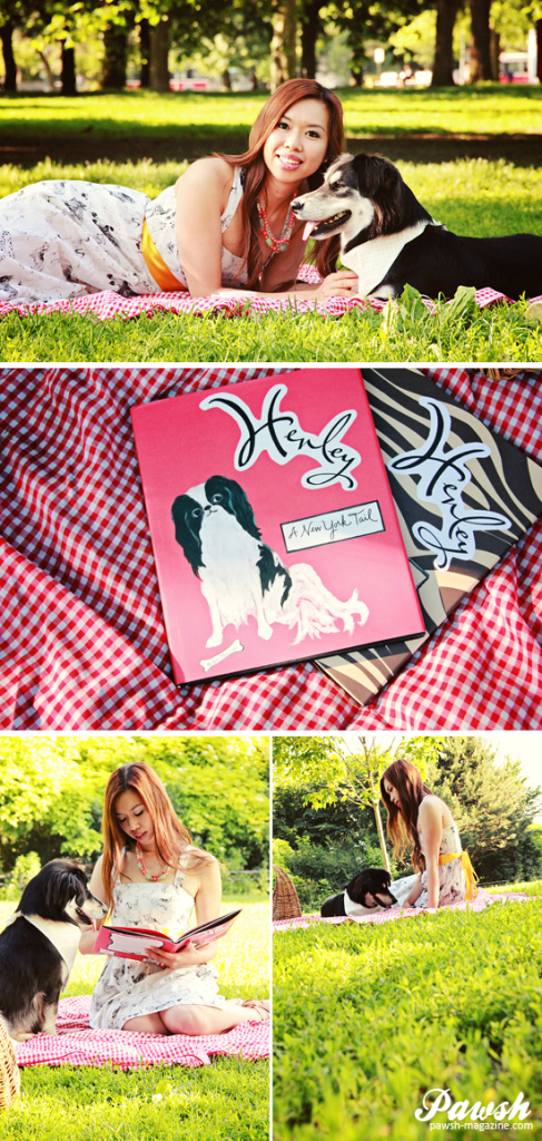 TORONTO DOG PHOTOGRAPHER: A DOG-FRIENDLY PICNIC - PAWSH MAGAZINE | A ...