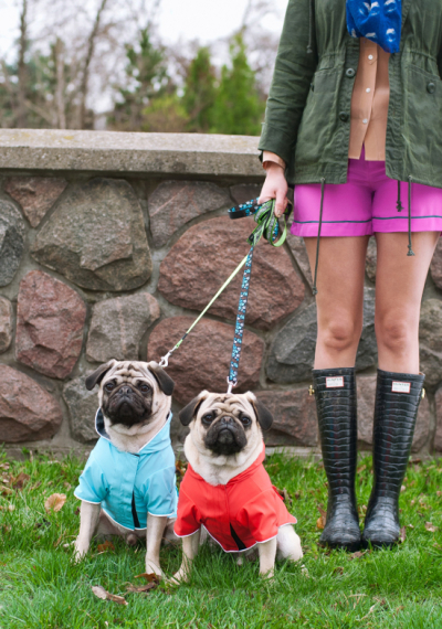 dog fashion photography Archives - PAWSH MAGAZINE | A New Breed of Dog ...