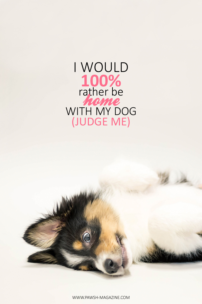 FUNNY DOG QUOTES AS DOGS WOULD SAY 02 PAWSH MAGAZINE A New Breed