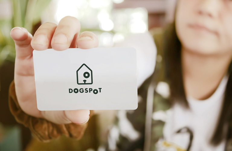 HOW TO SHOP WITH YOUR DOG: INTRODUCING DOGSPOT - PAWSH MAGAZINE | A New ...