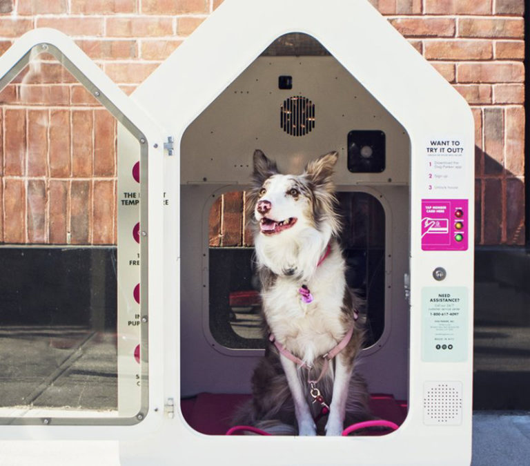 HOW TO SHOP WITH YOUR DOG: INTRODUCING DOGSPOT - PAWSH MAGAZINE | A New ...