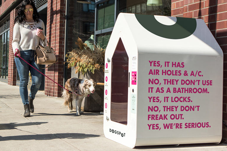 HOW TO SHOP WITH YOUR DOG: INTRODUCING DOGSPOT - PAWSH MAGAZINE | A New ...