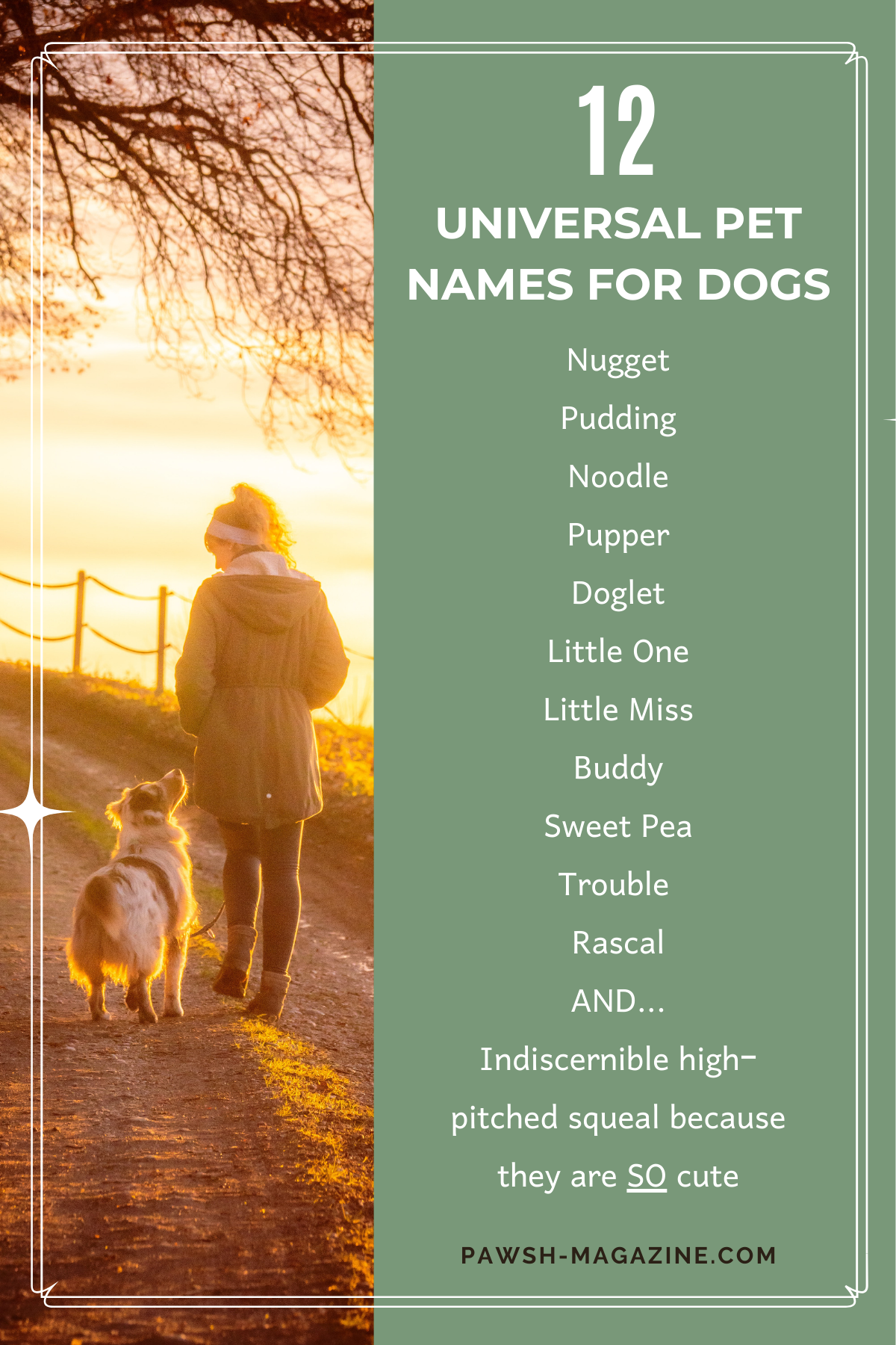 12 UNIVERSAL PET NAMES FOR YOUR DOG PAWSH MAGAZINE A New Breed Of